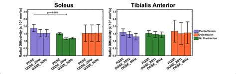Radial Diffusivity Rd Measured During Active Plantarflexion