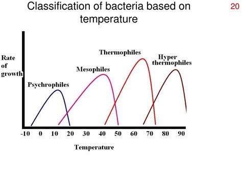 Ppt Bacterial Growth And Nutrition Powerpoint Presentation Free
