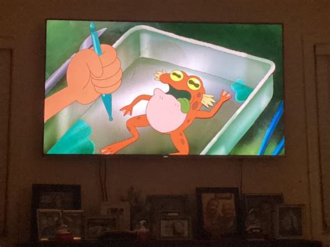 989 Best Hop Pop Images On Pholder Amphibia The Owl House And Aww