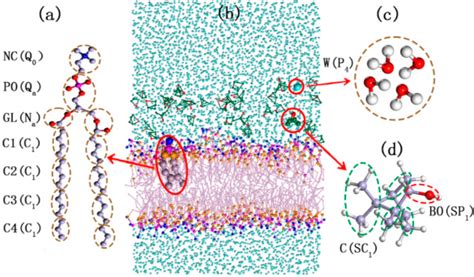 IJMS Special Issue Bioactive Lipids And Lipidomics