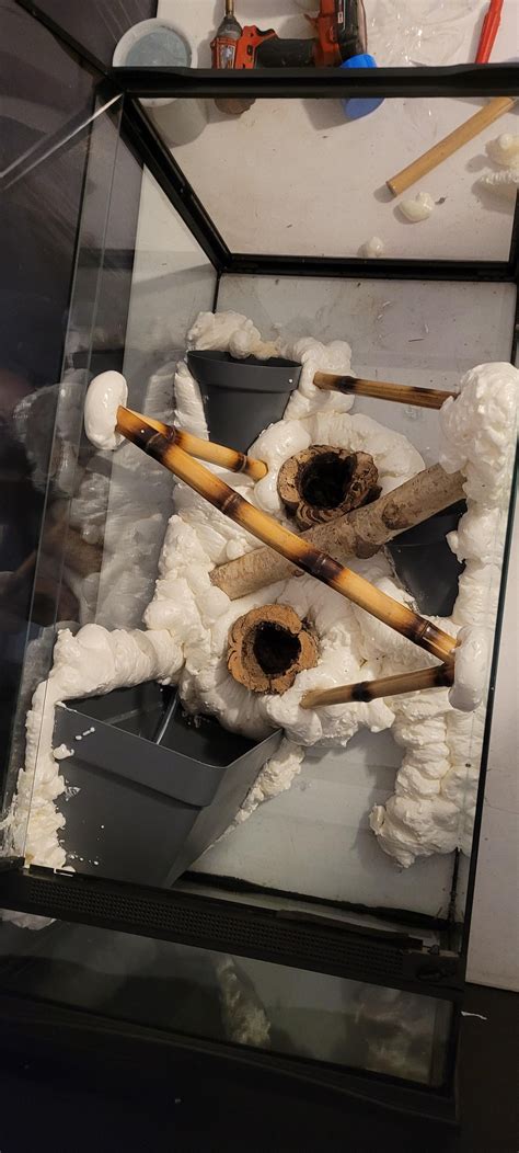 Background Coming Along 😁 Rbioactive