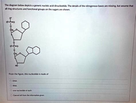 SOLVED The Diagram Below Depicts Generic Nucleic Acid Dinucleotide The Details Of The