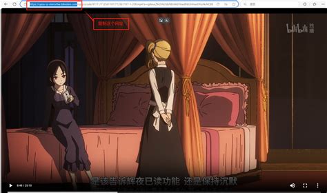 任何网站都可看弹幕的插件danmaku Anywhere Csdn博客