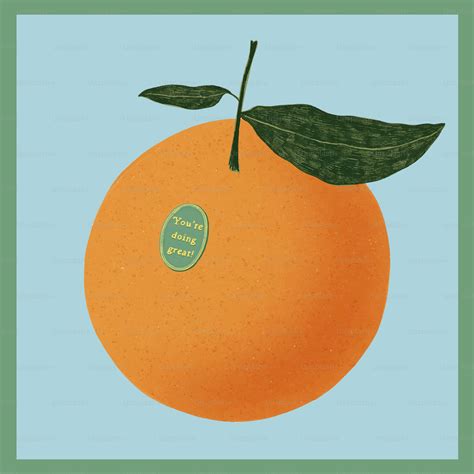 잎이 있는 오렌지 사진 벡터 Unsplash의 과일 이미지