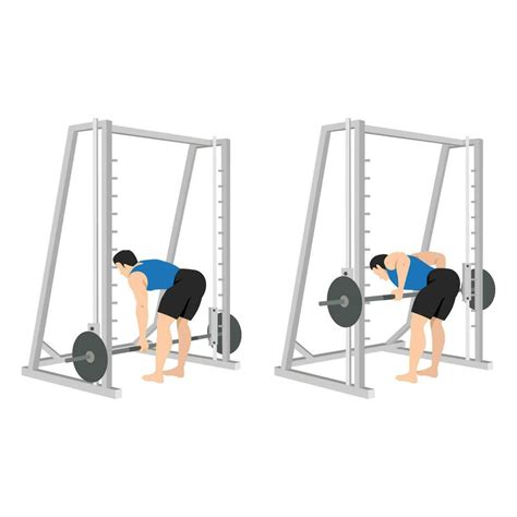 Man Doing Bent Over Row With Smith Machine Exercise 32485226 Vector