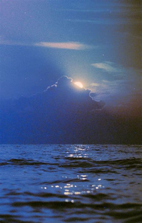 88 Grass Ideas In 2024 Dreamcore Weirdcore Weird Dreams Weirdcore