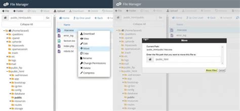 How To Deploy Laravel Project On Root Directory Without Public In Urlif You Dont Know How To