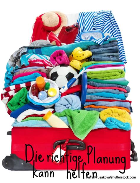 Fmea Software Für Dfmea And Prozess Fmea