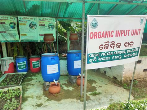 Demo Unit « Krishi Vigyan Kendra Balasore