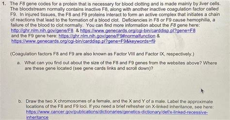 [answered] 1 The F8 Gene Codes For A Protein That Is Necessary For Kunduz