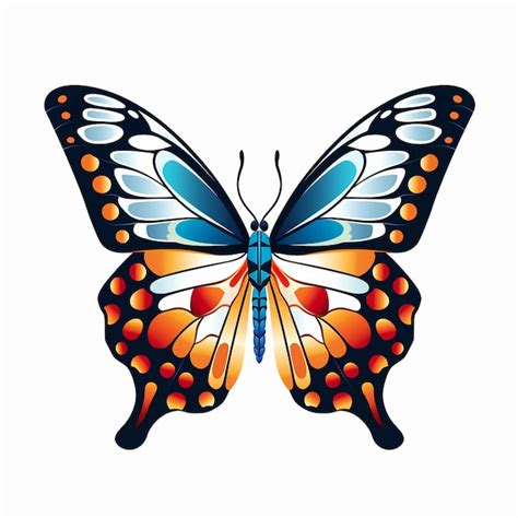 Premium Vector Birdwing Butterfly Blue Colour Butterfly Butterfly