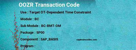 OOZR SAP Tcode For Target OT Dependent Time Constraint
