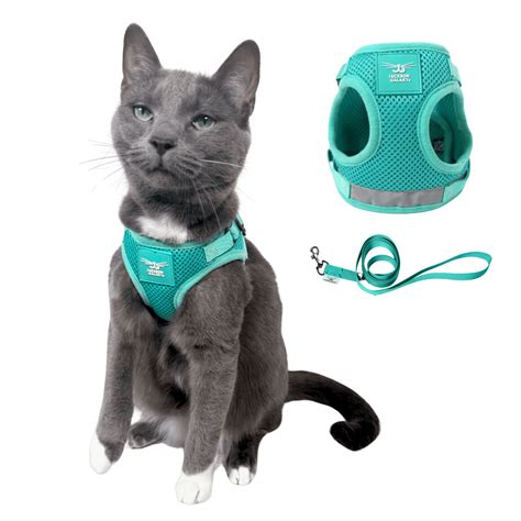 The Jackson Galaxy X Travel Cat Harness And Leash Set