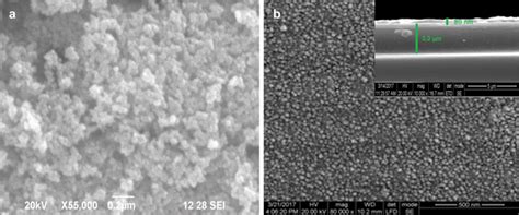 Morphology Of A Tio2 And B Tio2au Films Insert Cross Sectional