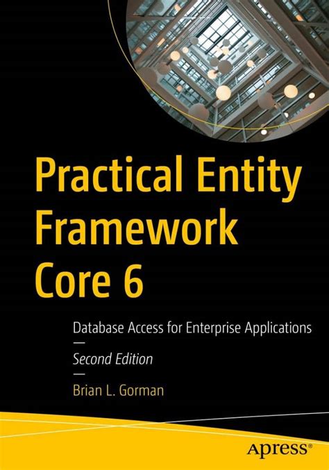کتاب practical entity framework core 6 آموزش عملی ef 6