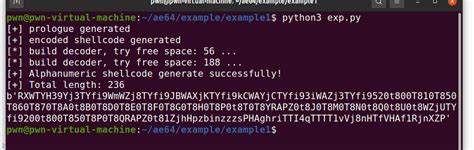 ascii码 shellcode的技巧 secpulse 安全脉搏