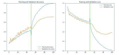 Training Result Of The Cnn After 100 Epochs Using Transfer Learning