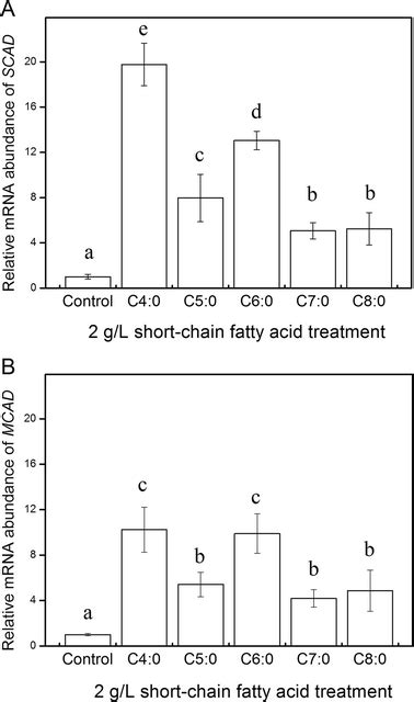 relative mrna level of ascad and bmcad upon treatment of 2 g l