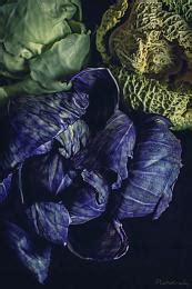 Как вырастить капусту белокочанную