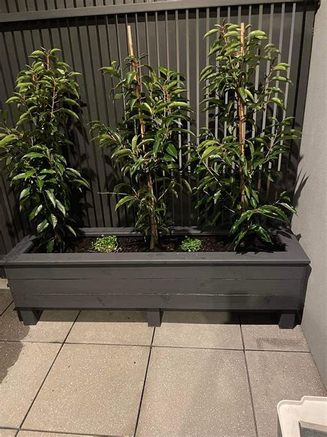 Timber Planter Box Redgum Planter Boxes