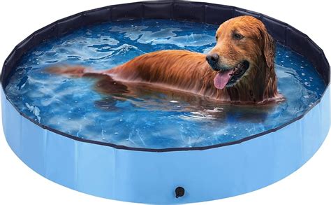 Piscinas Grandes Para Perros Las 7 Mejores Piscinas Para Perros Según