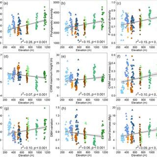 PDF Tree Diversity Structure And Functional Trait Identity Promote Stand Biomass Along