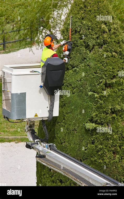 Equiped Worker Pruning A Tree On A Crane Gardening Works Stock Photo Alamy