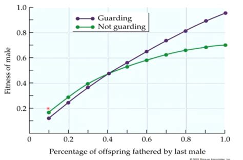 L Evolution Of Sex Alternative Reproductive Success Flashcards Quizlet