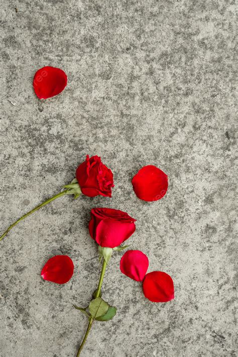 Foto Foto Wallpaper Cantik Merah