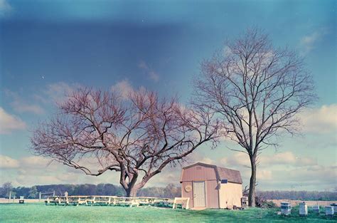 developing scanned film show bright border around the edge