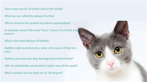 Hard Trivia Questions With Number Answers At Indiana Houlding Blog