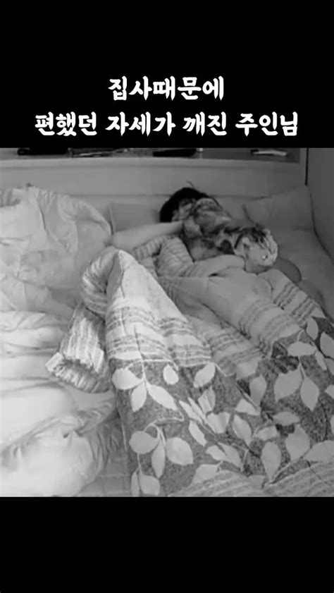 출근길 대환장파티 오토바이택시버스일반승용 정근식