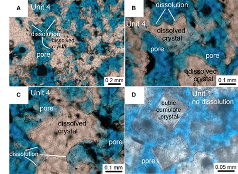Thin Section Photomicrographs Of Cumulate Halites From Section S2 Download Scientific Diagram
