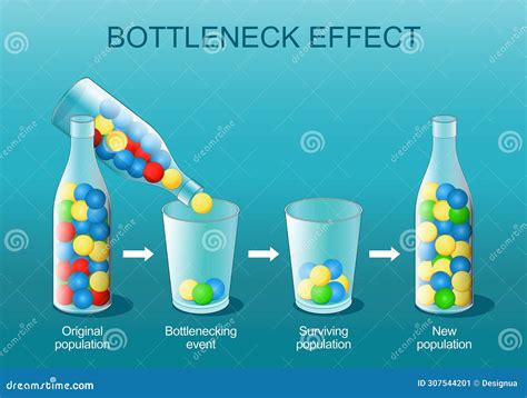 Bottleneck Effect Natural Selection Stock Vector Illustration Of