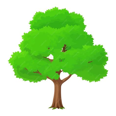Premium Vector Isolated Tree On White Background Vector File