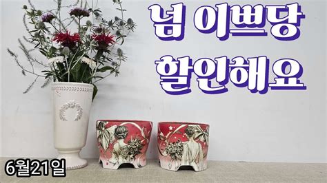 6월21일 토끼네화분 수다쟁이분 읍내꽃분 구르밍 은다육 Youtube