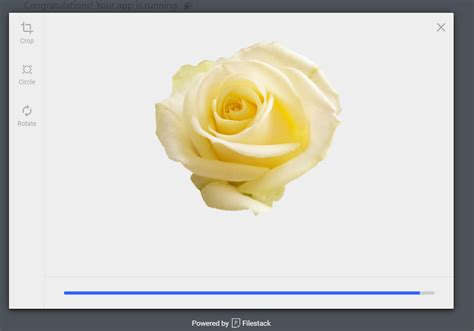 Upload Files To Dropbox In Angular With Froala And Filestack