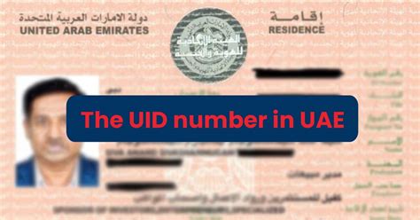 What Is The Uid Number In UAE Where To Find Unified Number