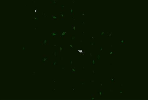 Light Black Vector Doodle Texture 12238663 Vector Art At Vecteezy