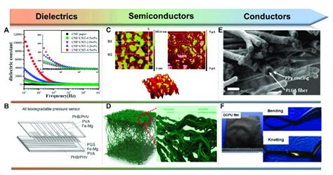 Design And Functional Realization Of Biodegradable Dielectrics