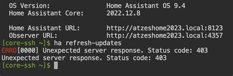homeassistant core update would not install 2022 12 9 installation