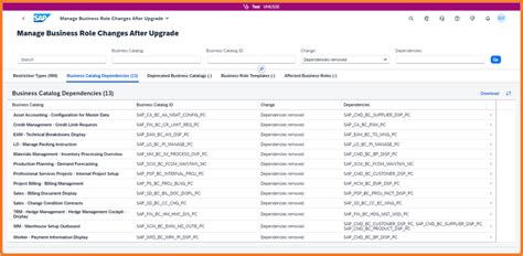 Review And Adapt Business Roles After A Major Upgr Sap Community