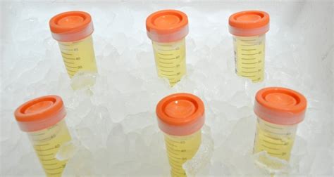 Innovations In Virus Like Particle Vaccine Production With The