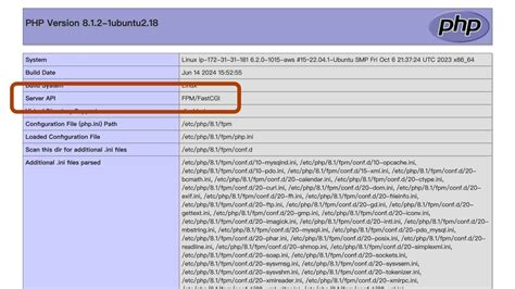 Php 基礎：php Fpm 與 Mod Php？ Labs Of Botsnova