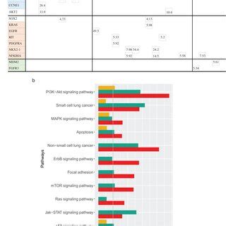Copy Number Variation Analysis A Copy Number Amplification Download Scientific Diagram