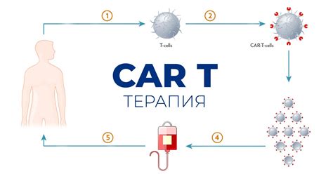 Успешно приложение на Car T клетъчна терапия при миастения гравис