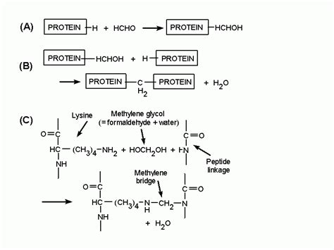 Practical Considerations Relating To Formaldehyde