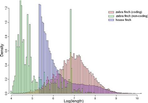 distribution of zebra finch coding pink bars and non coding green