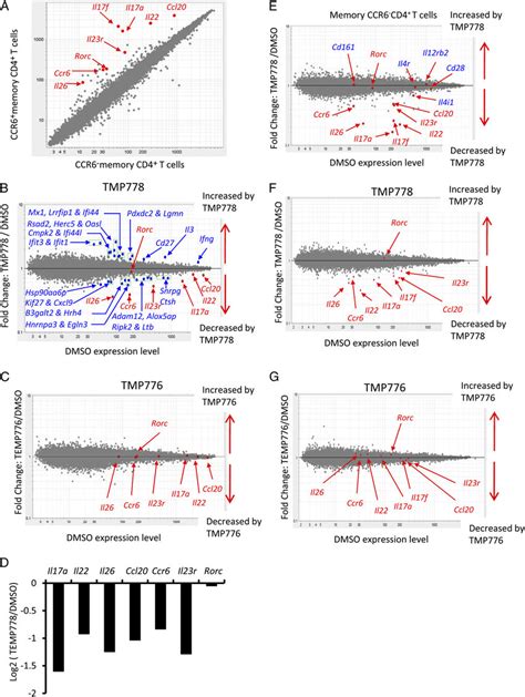 The Effect Of Genome Wide Transcription By Rorgt Inverse Agonists A