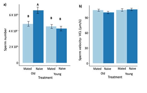 The Effect Of Male Age And Mating History On Sperm Traits A Sperm Download Scientific Diagram